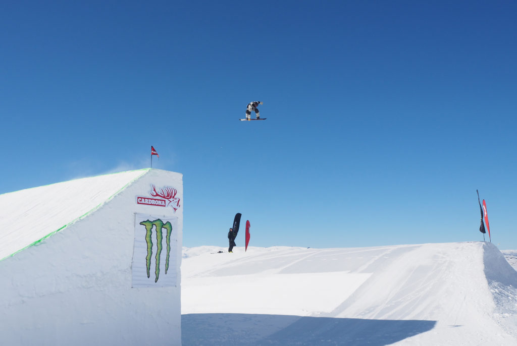 Snowboarding Injuries - Wrist Fractures - ABC of Snowboarding